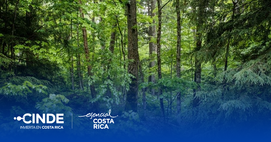 CINDE | Time destaca a Costa Rica entre los mejores destin...