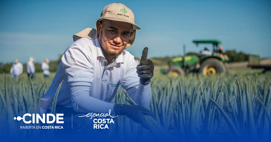 CINDE | CINDE Celebrates Approval of the Bill of Law to St...