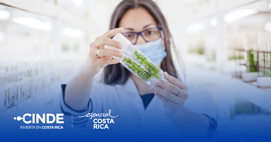 CINDE | Programa en biomateriales becará a estudiantes uni...