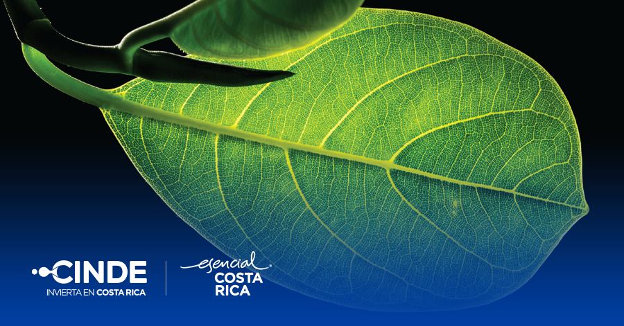 CINDE | Programa de fondos no reembolsables impulsará proy...